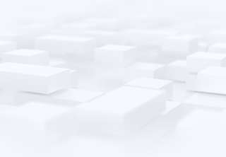 Services – veonis Technologies group